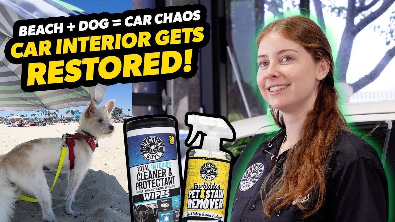 Remove Dog Smell From Car