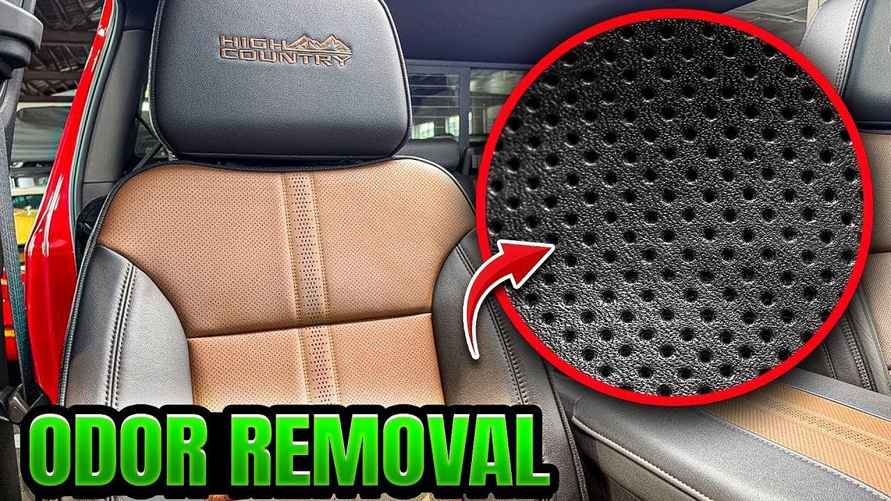 Removing Odor from Car: Proven Tips to Freshen Your Ride Fast ...