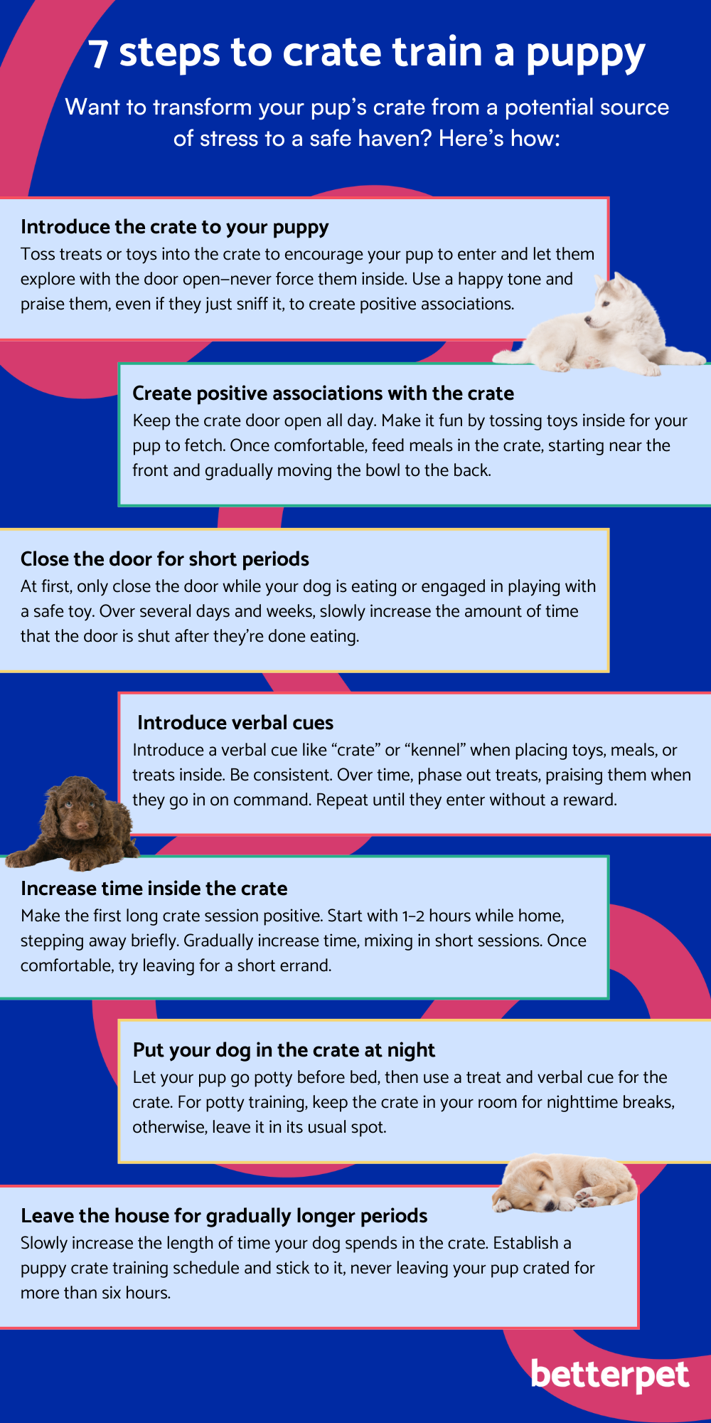 Tips for Crate Training Pets for Travel: Expert Tricks for Success ...